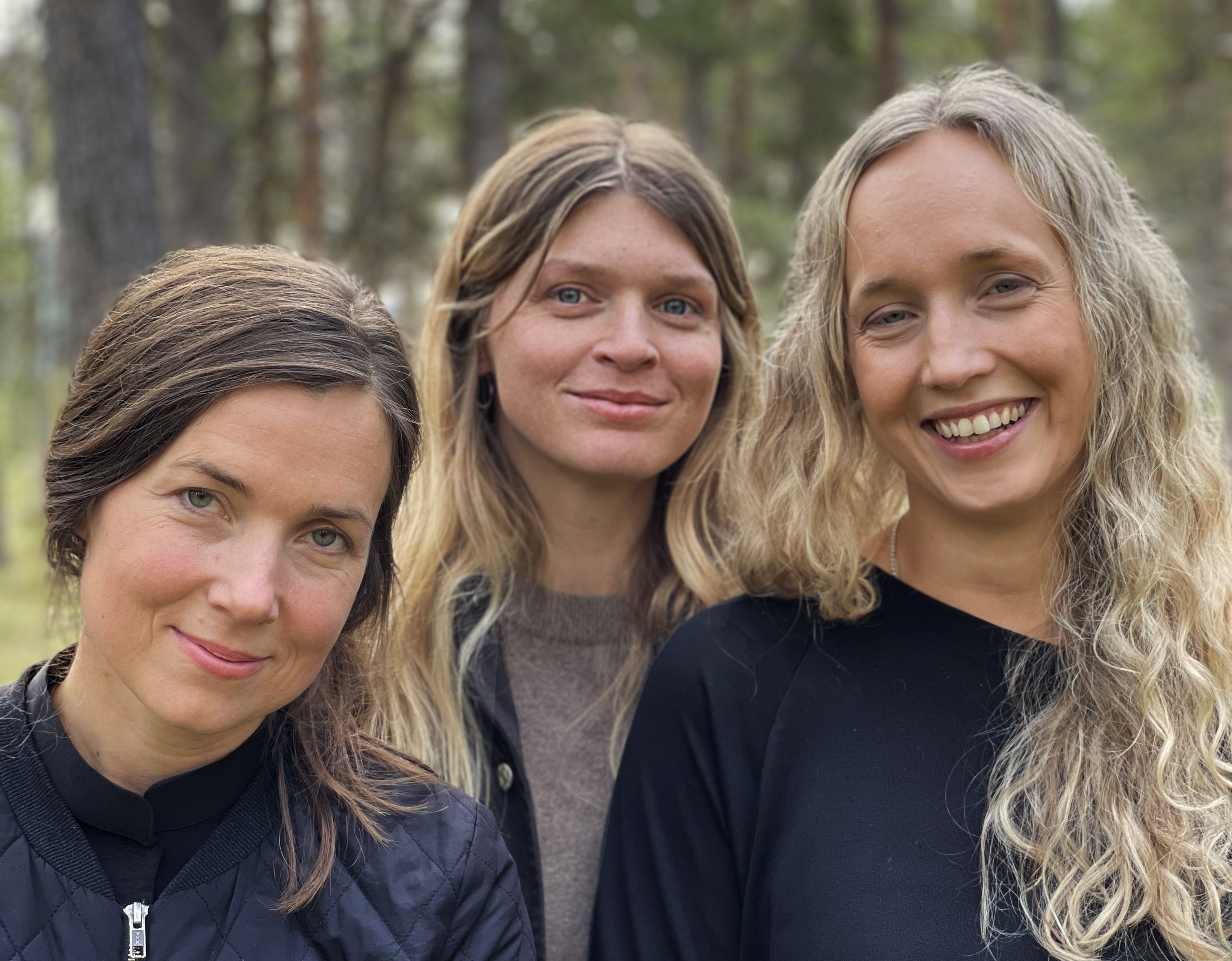 Nordmark & Nordmark - Nordmark & Nordmark